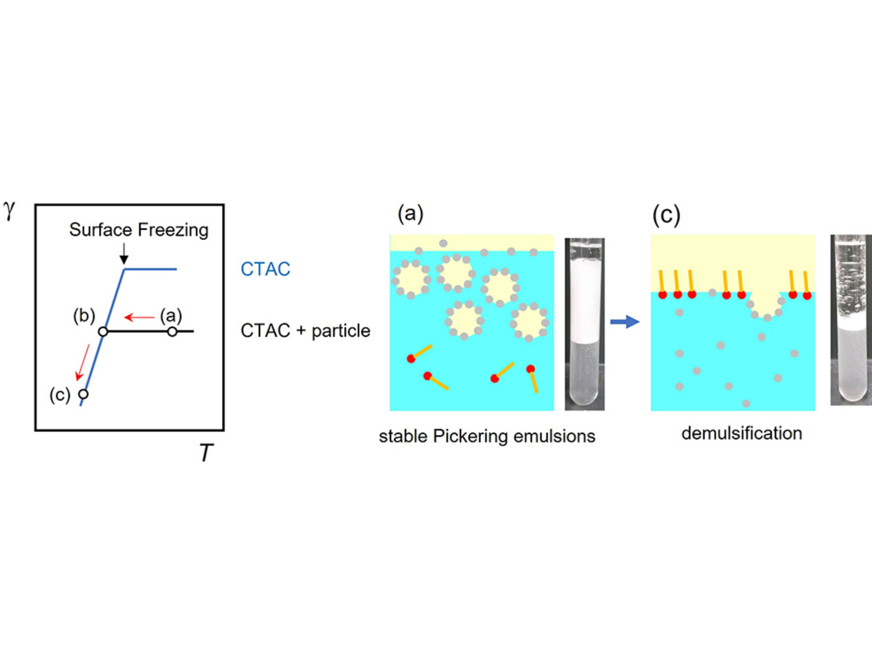 Welcome to Journal of Oleo Science – JOCS